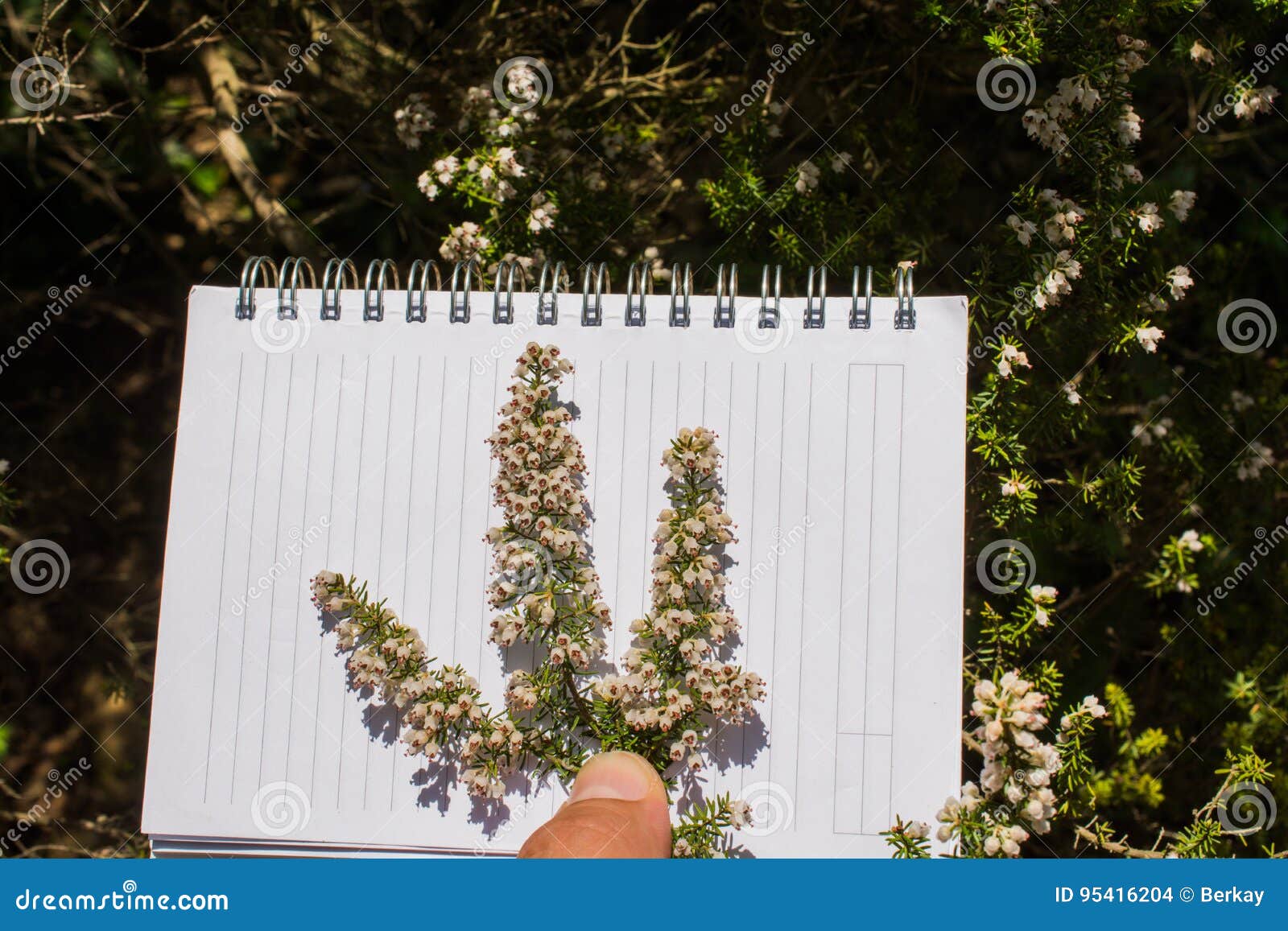 Colorful Spring Flowers on a Notebook Stock Photo - Image of notebook ...