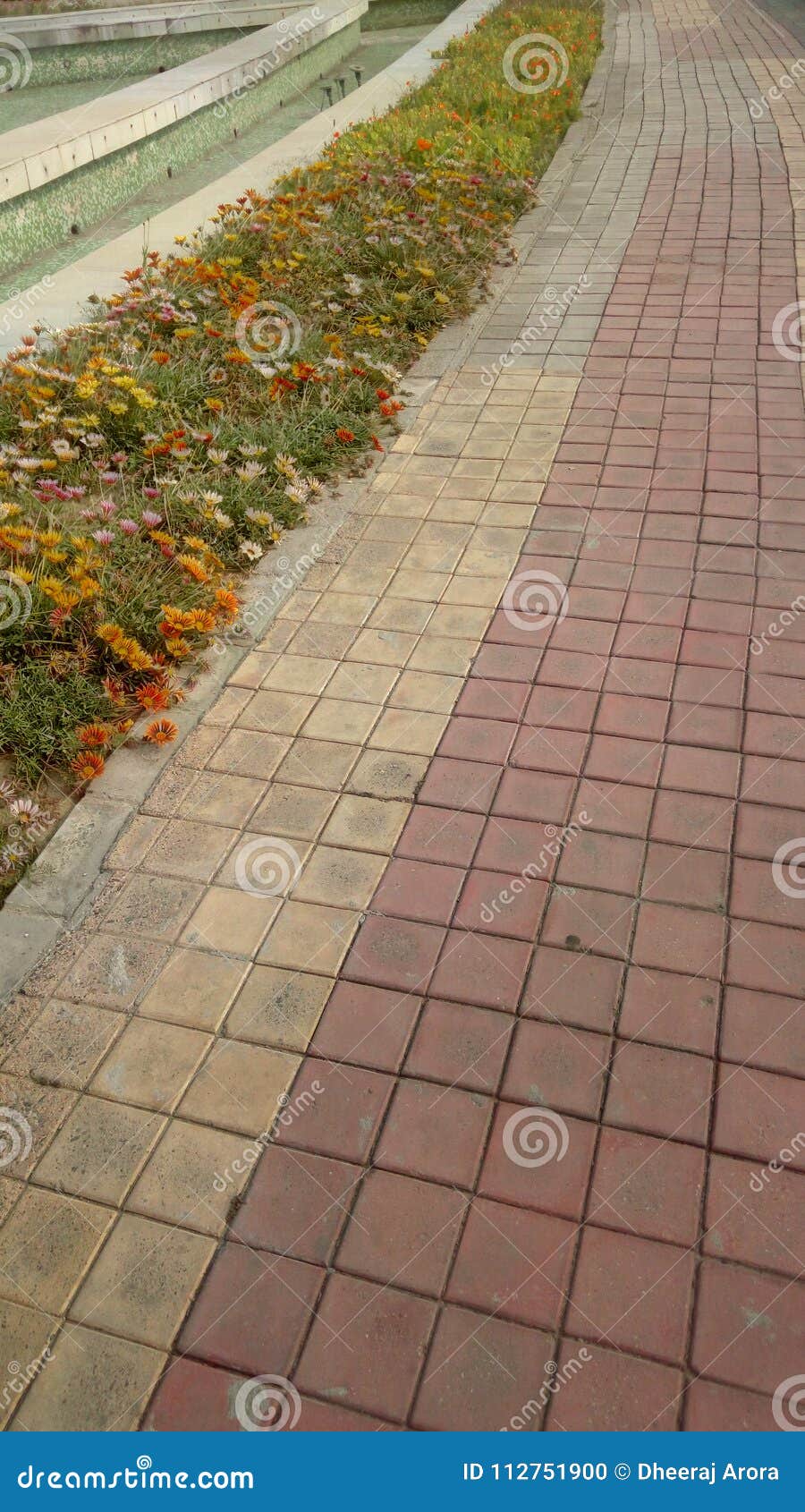 Colorful Spring Flowers and Pavement Stock Photo - Image of path, india ...