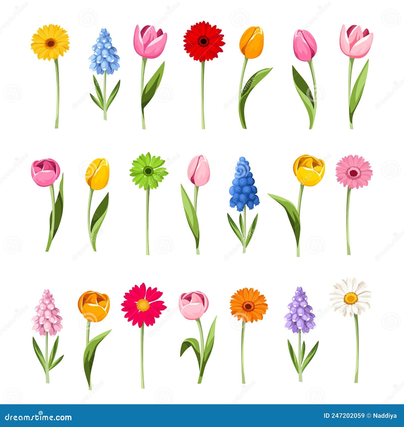 Colorful Spring Flowers. Set of Vector Illustrations Stock Vector ...