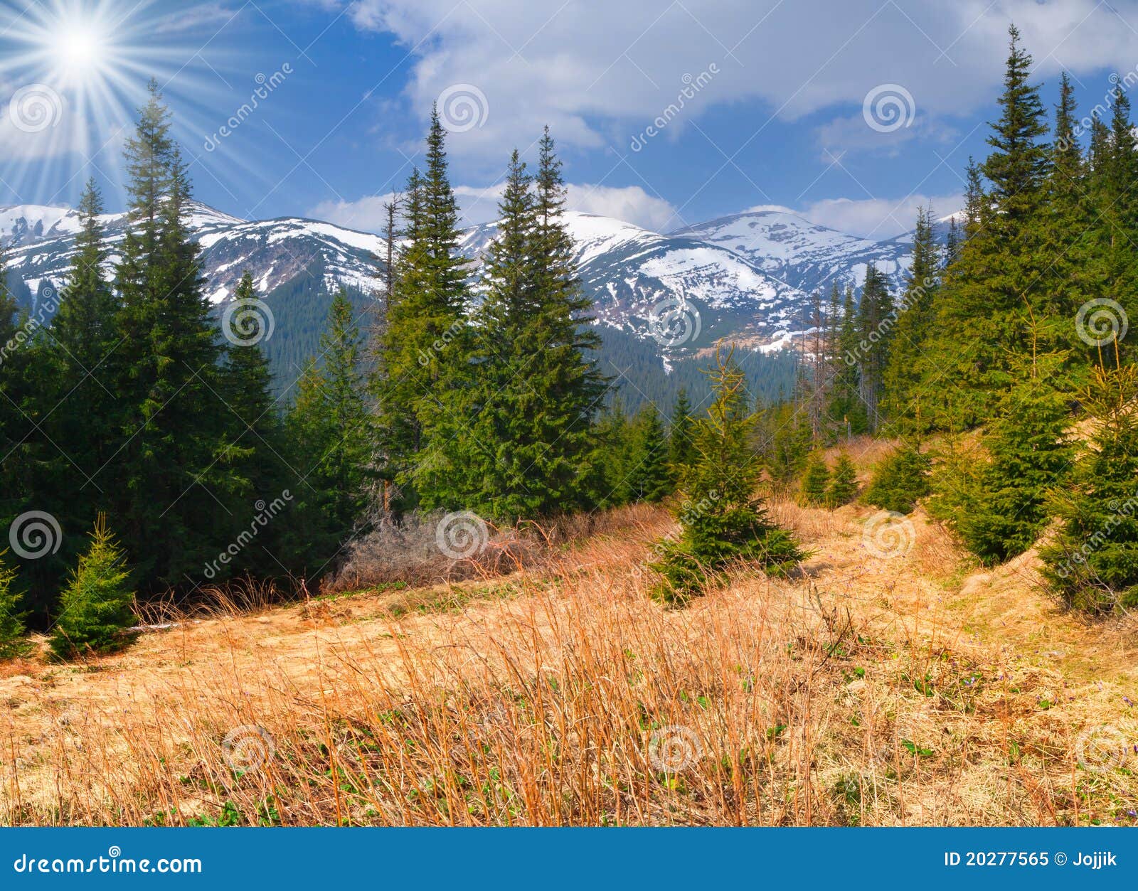 Colorful spring landscape stock image. Image of outdoor - 20277565