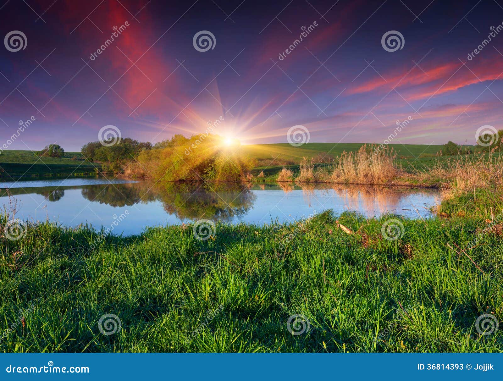 Colorful Spring Landscape on Fishing Pond. Stock Image - Image of mist ...