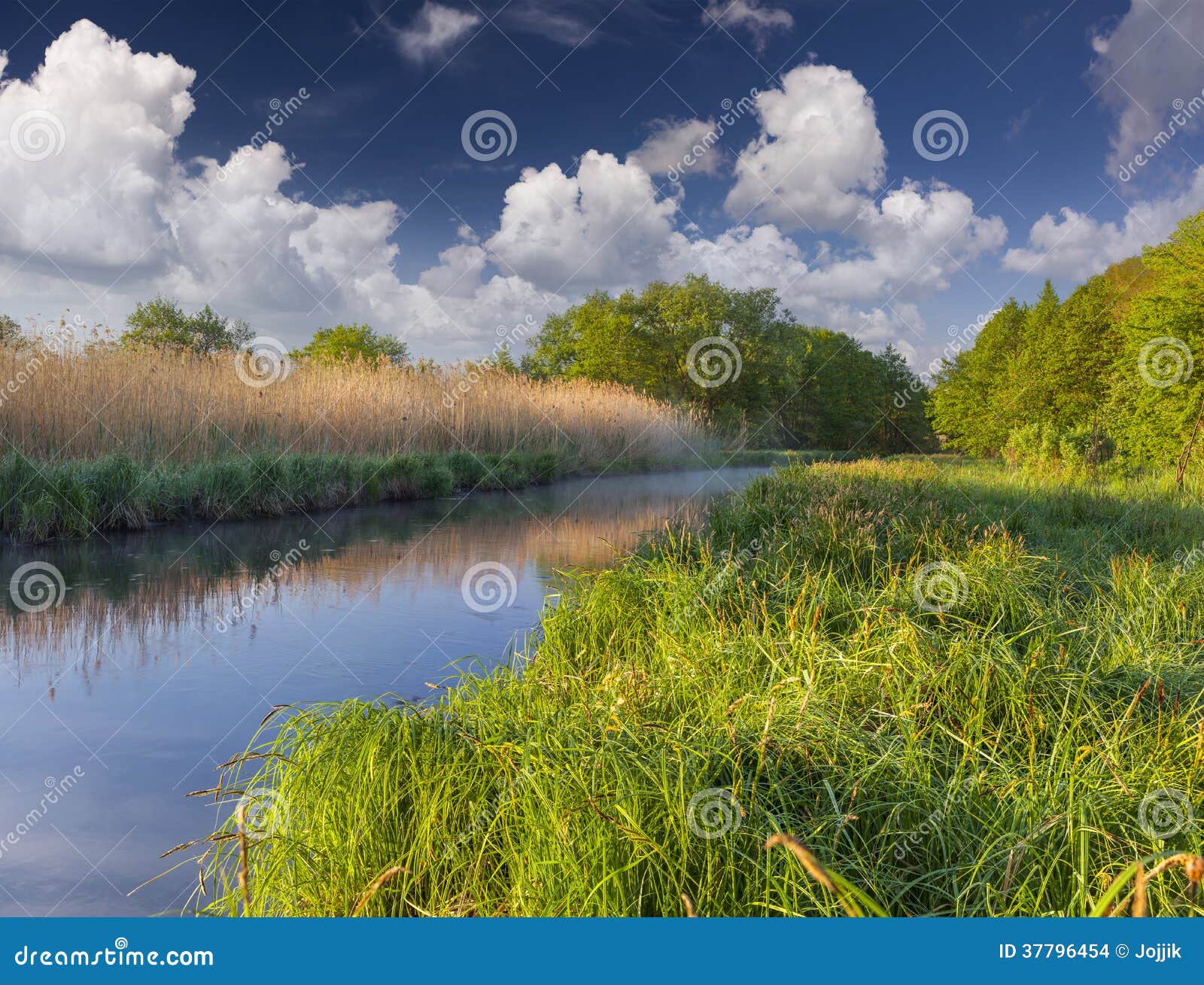 Colorful Spring Landscape on Misty River Stock Photo - Image of haze ...