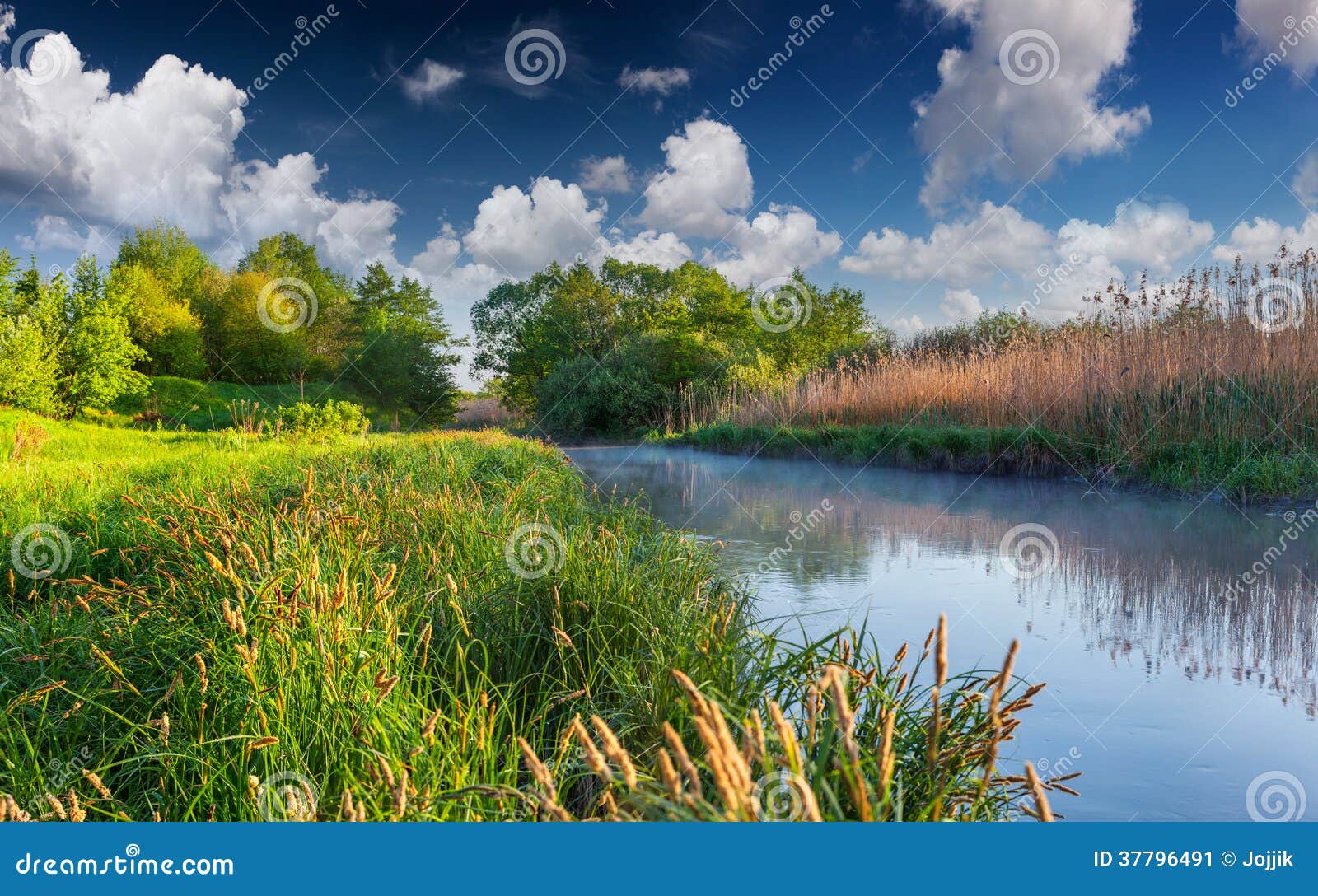 Colorful Spring Landscape on Misty River Stock Image - Image of grass ...