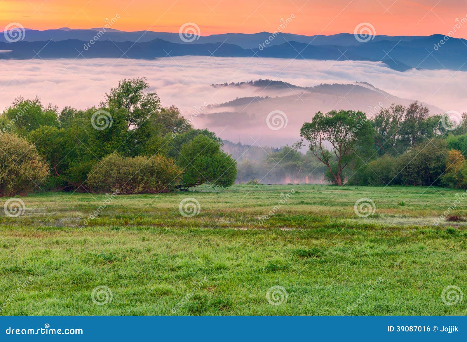 Colorful spring morning stock photo. Image of fresh, color - 39087016