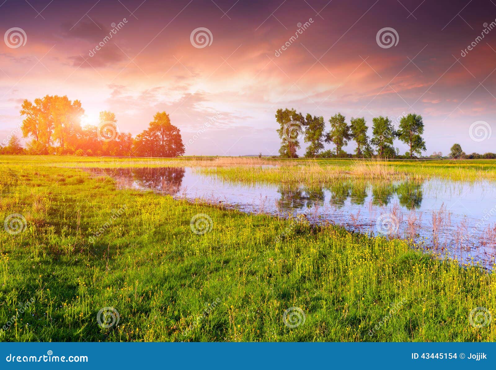 Colorful Spring Panorama on the Sunrise on Lake Stock Photo - Image of ...