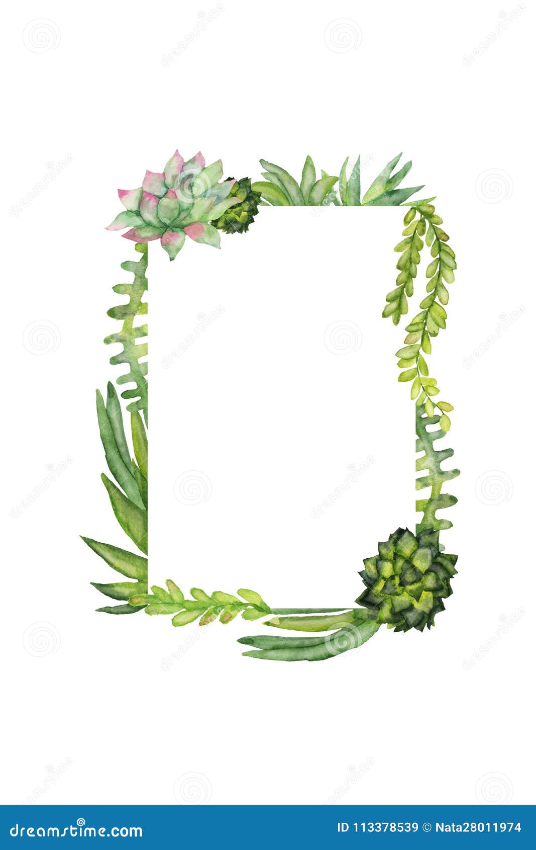 Colorful Squared Cactus Frame with Flowers Stock Illustration ...