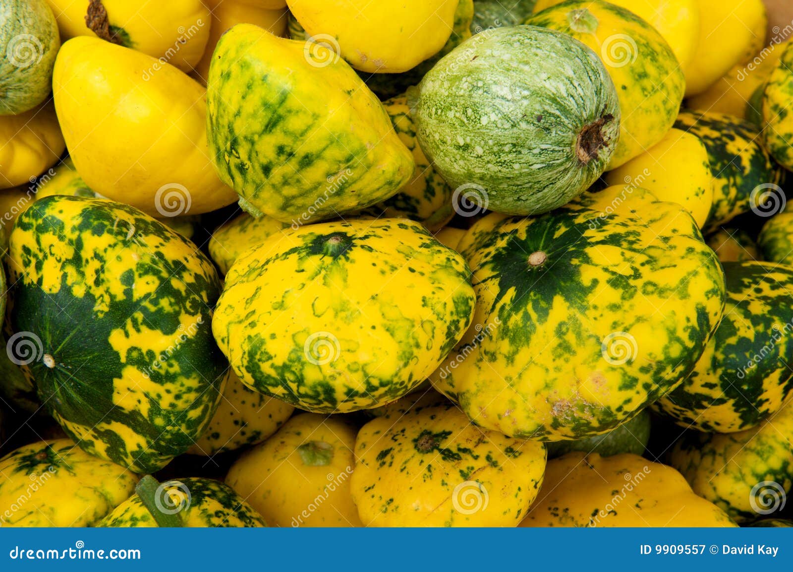 Colorful squash stock image. Image of health, vegetable - 9909557