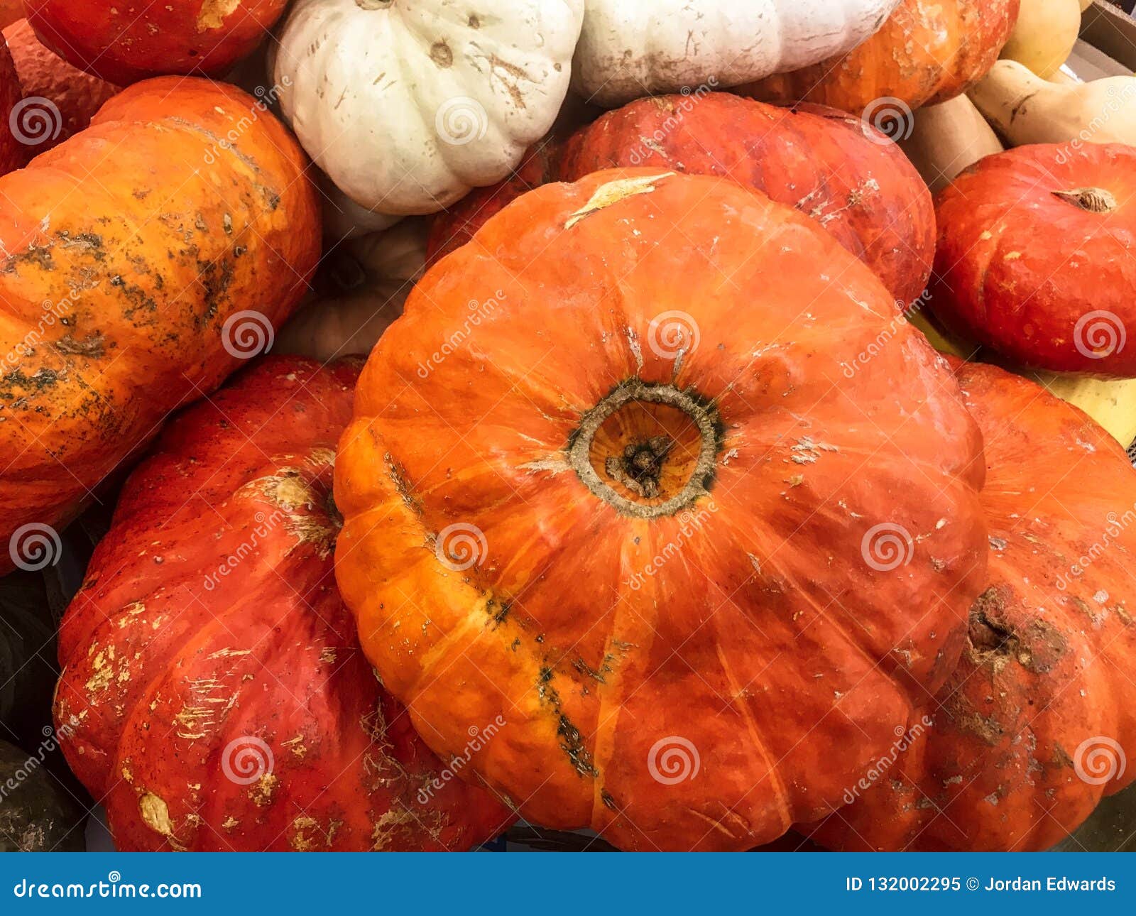 Colorful Squash Background stock image. Image of seasonal - 132002295