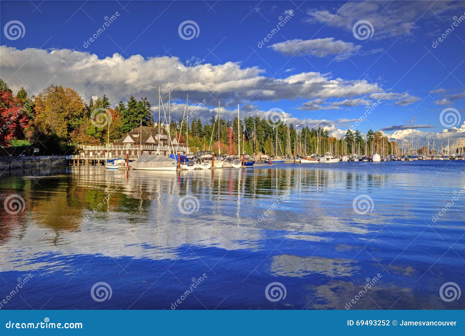 Colorful Stanley Park in the Fall Editorial Photography - Image of ...