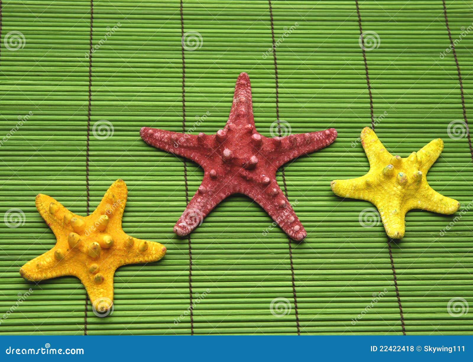 Colorful Starfish stock photo. Image of colorful, template - 22422418