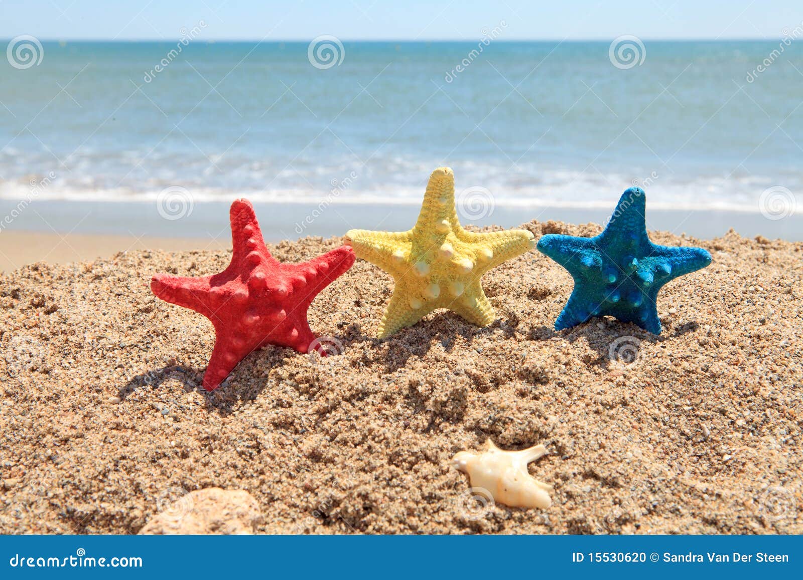 Colorful Starfish on the Beach Stock Photo - Image of water, yellow ...