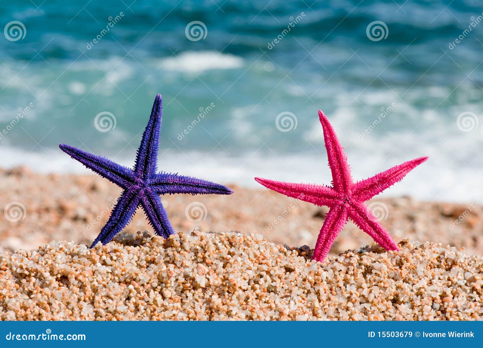 Colorful starfishes stock image. Image of colors, holidays - 15503679