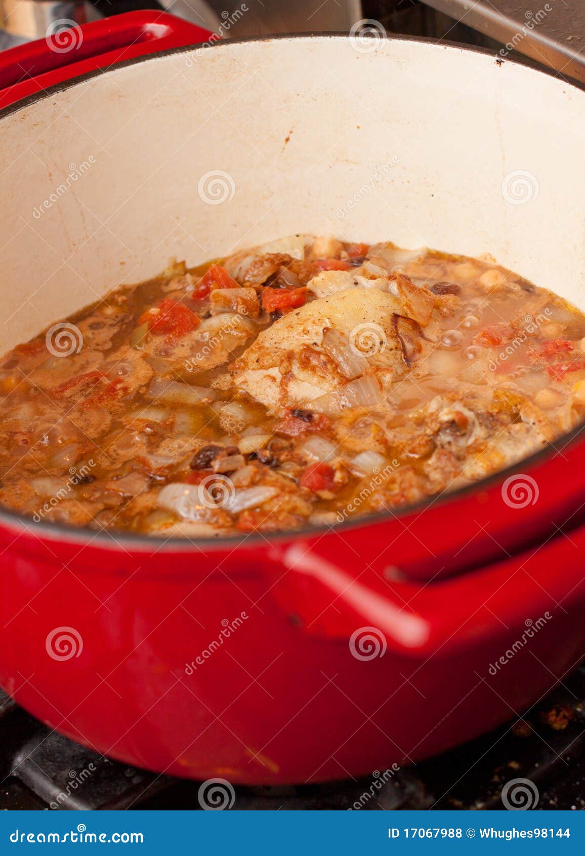Colorful Stew in Red Cast Iron Pot Stock Photo - Image of broth ...