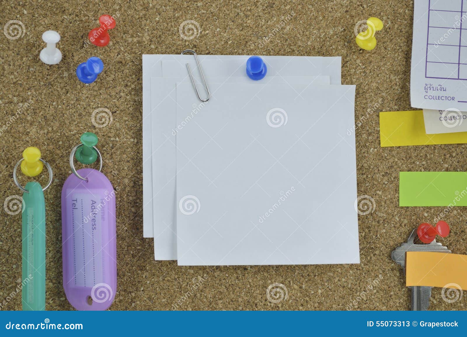 Colorful Sticky Notes, Pin and Tag Name on Cork Board Stock Image ...