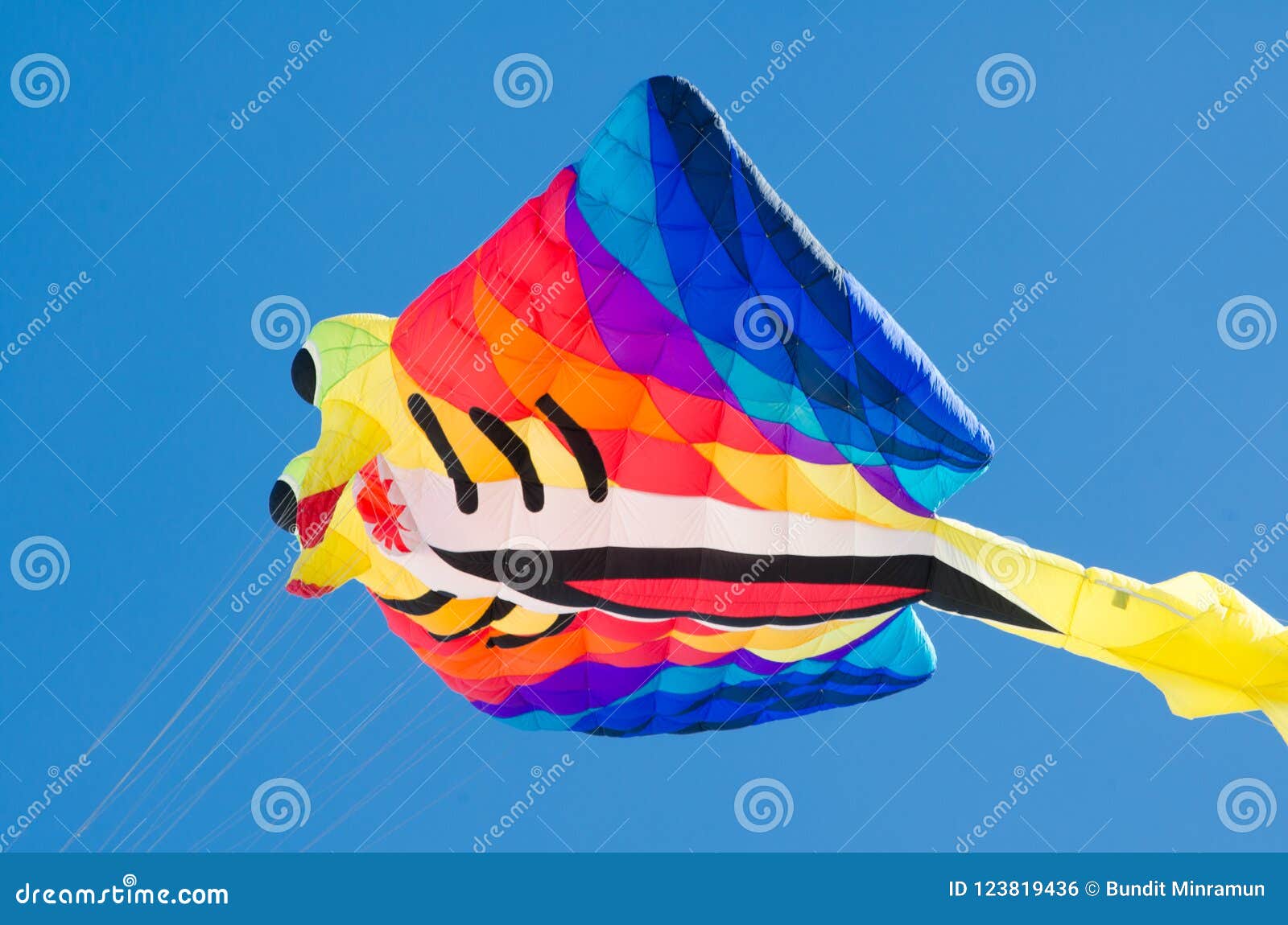 Stingray Kite Royalty-Free Stock Photography | CartoonDealer.com #5390765