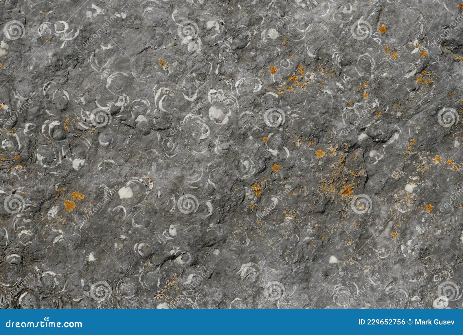 Colorful Stone Surface. Abstract Nature Background for Design Stock ...