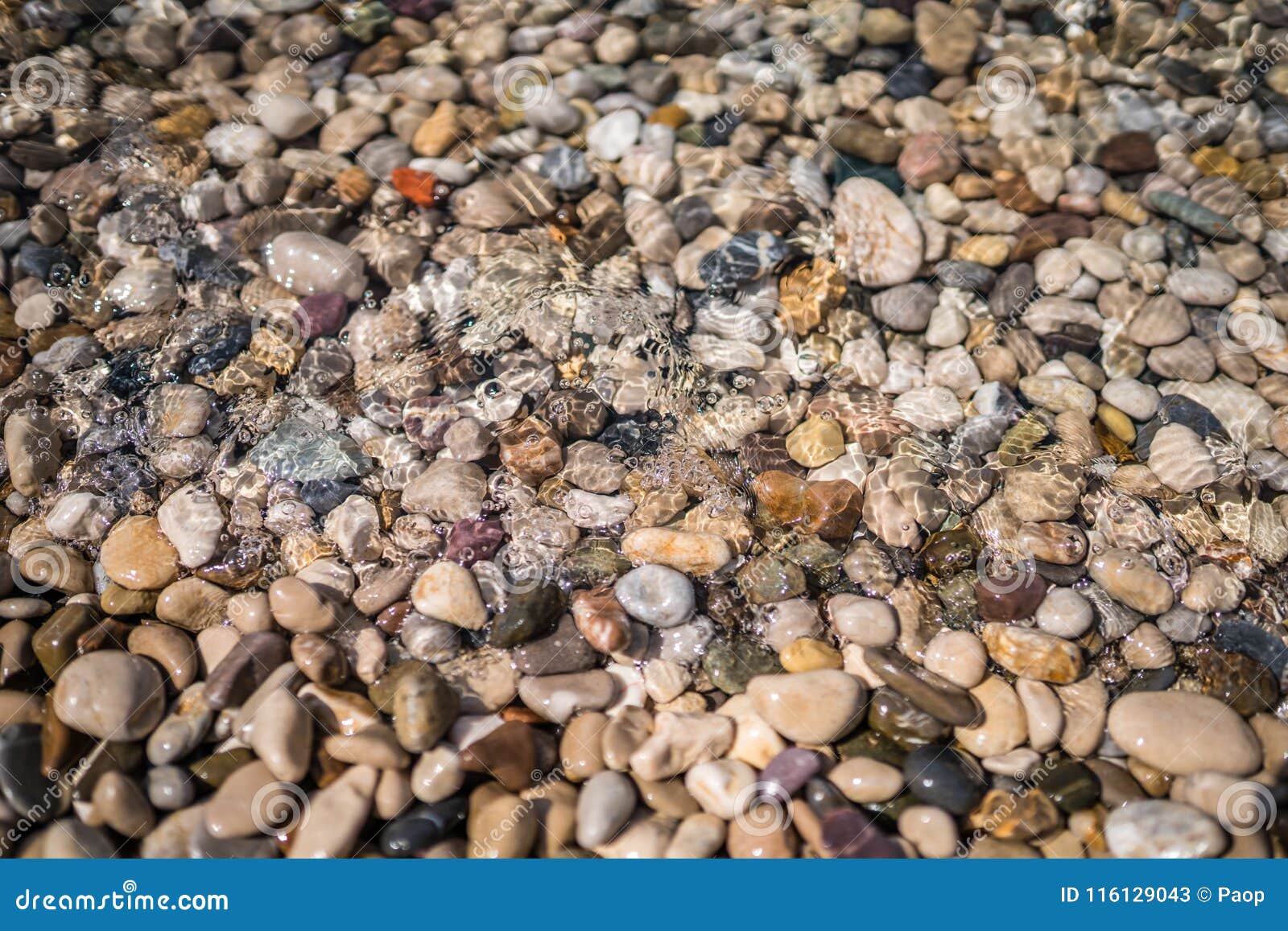 Colorful Stones in the Sea Water Stock Image - Image of macro, colorful ...