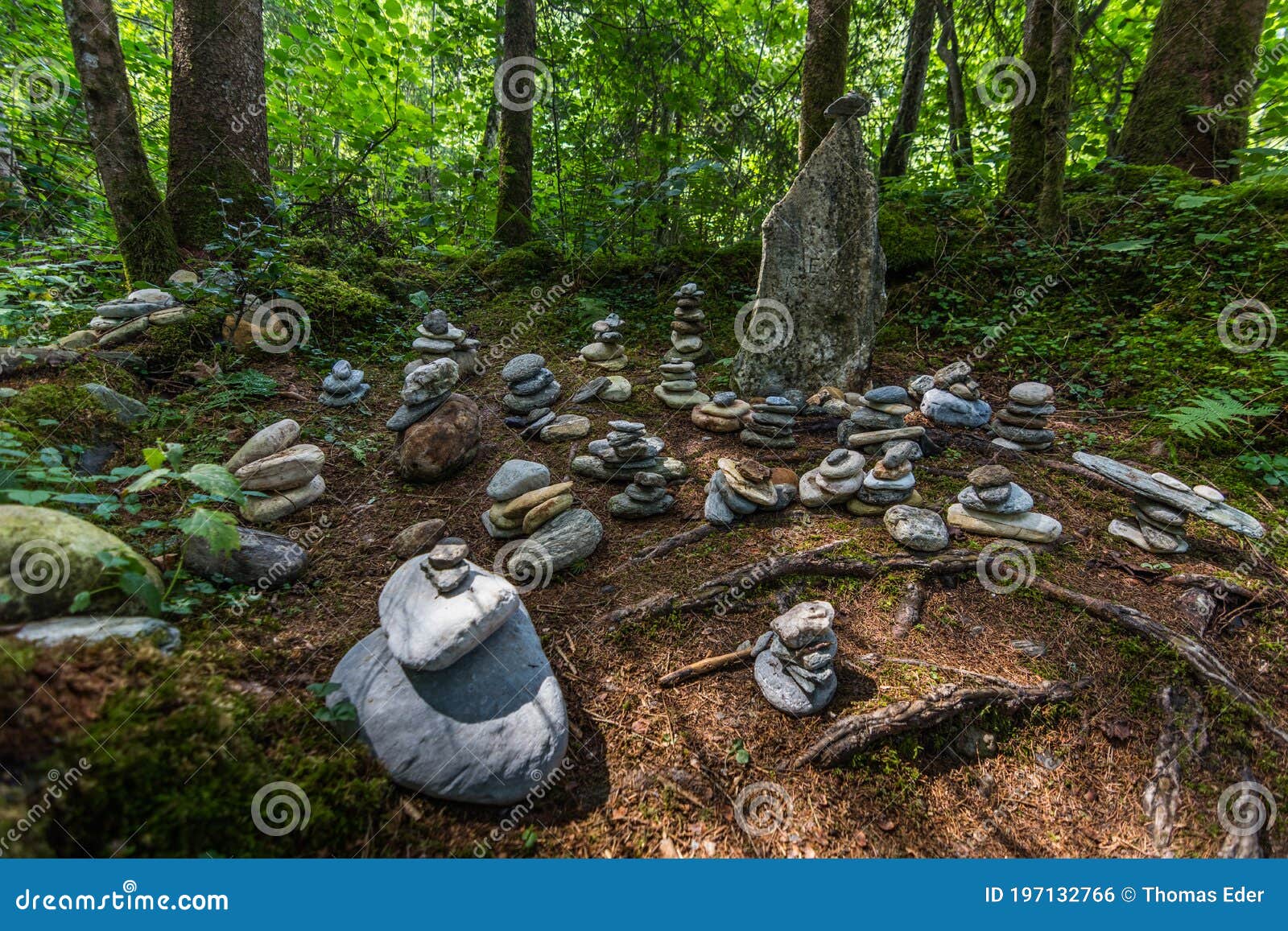 Colorful Stones Stacked at the Forest Floor Stock Photo - Image of ...