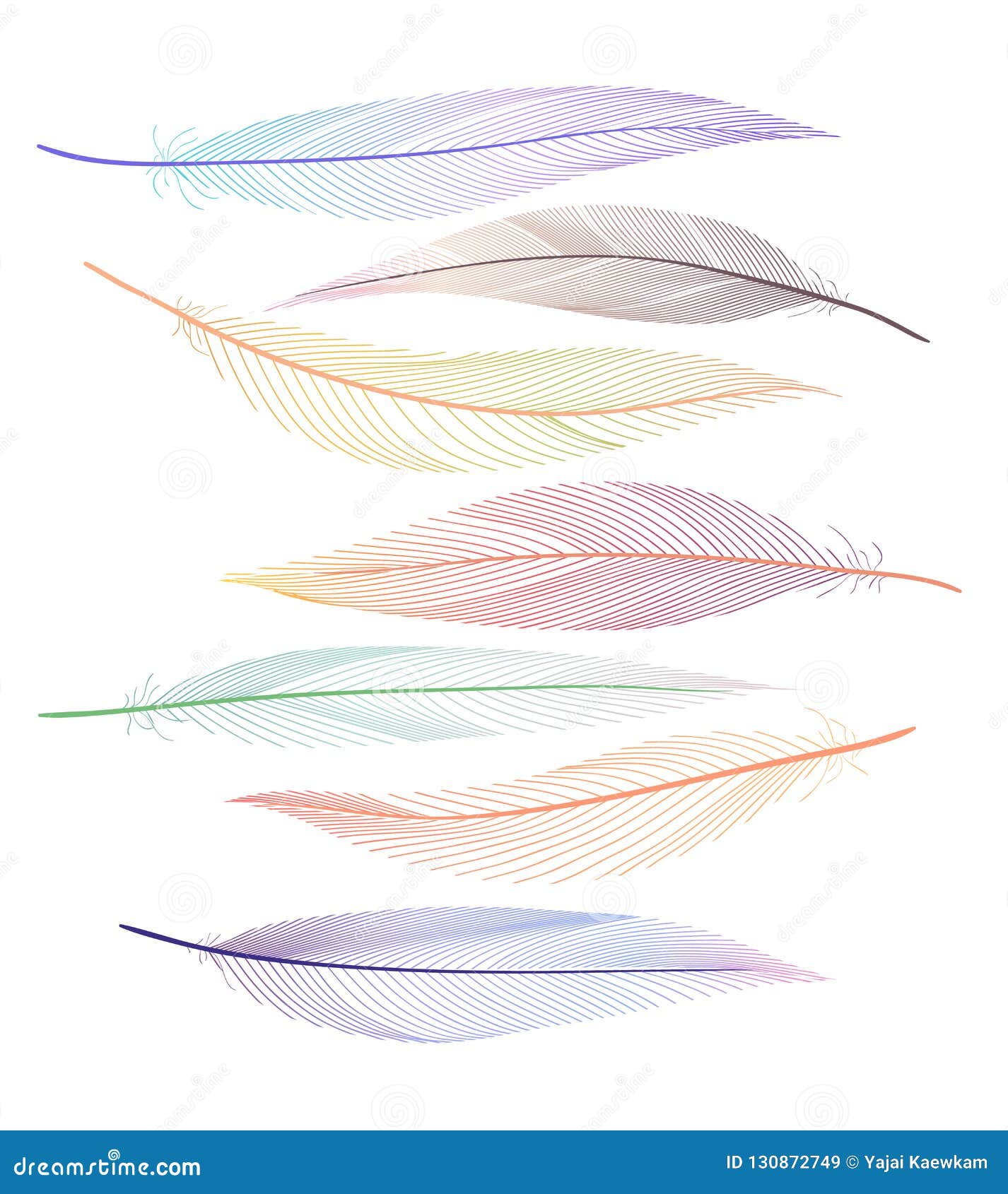 Colorful Stripe Line Feather Stock Vector - Illustration of design ...