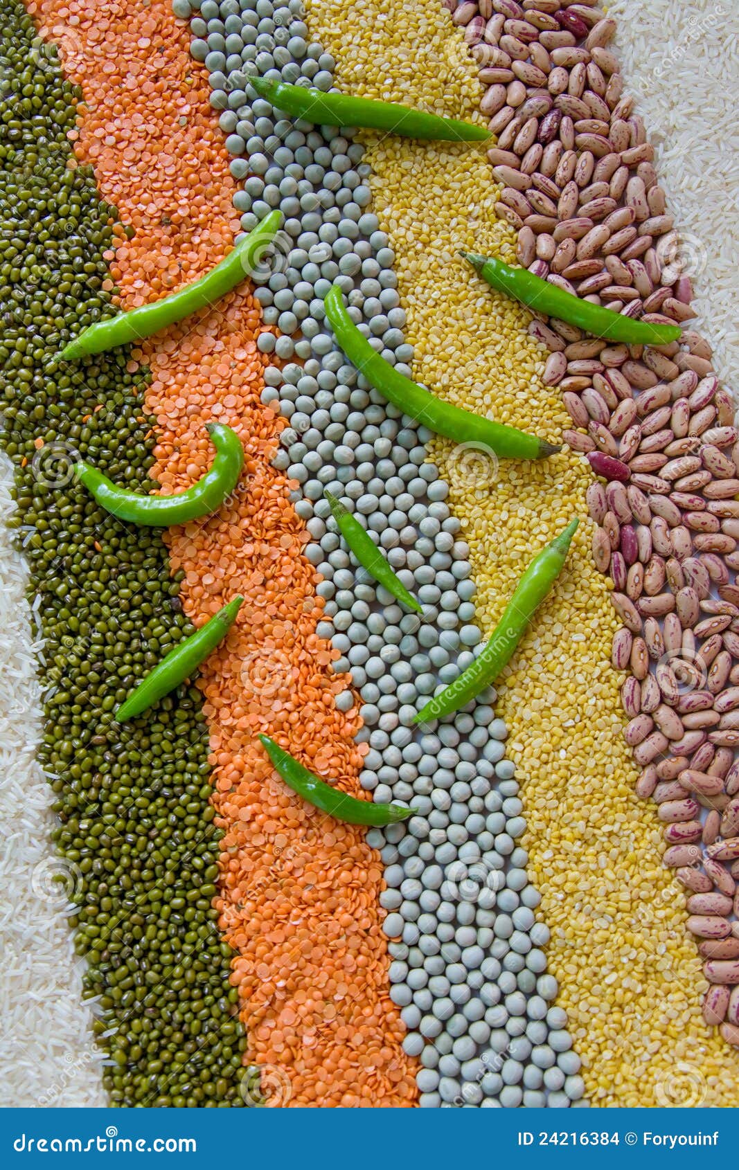 Colorful Striped Rows of Dry Grains Stock Photo - Image of macro, green ...