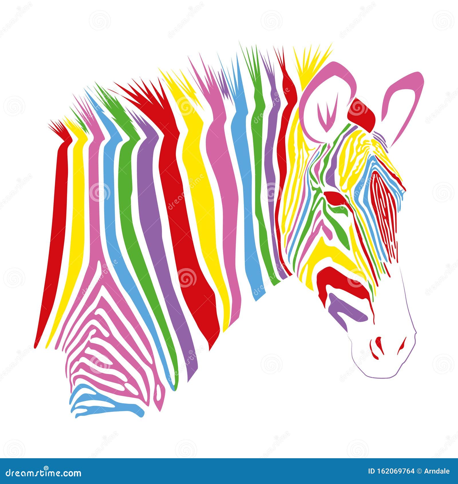 Colorful Striped Zebra Isolated on White Background Stock Vector ...