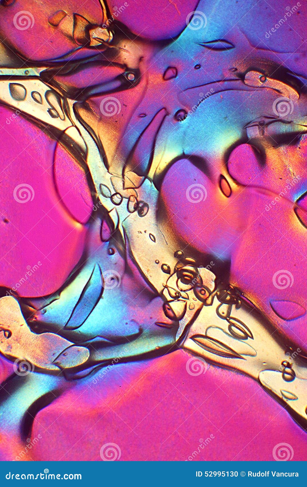 Colorful Structure stock photo. Image of microscope, detail - 52995130