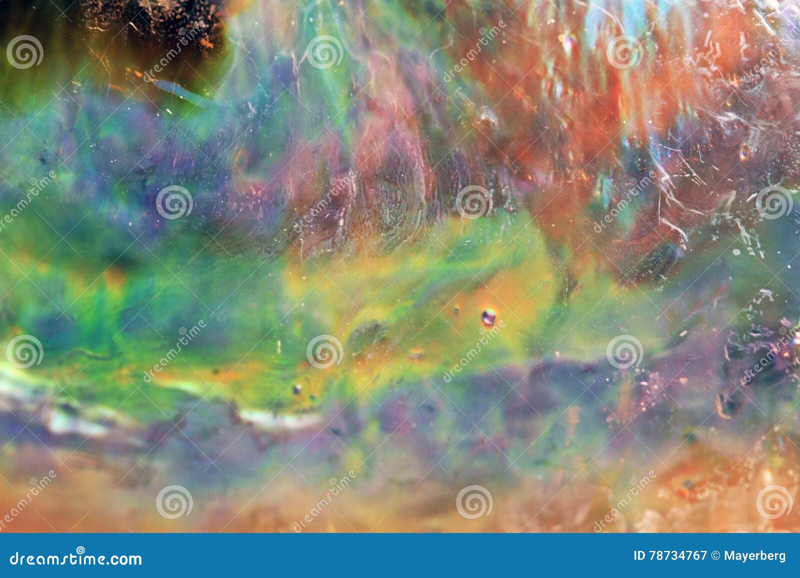 Colorful Structure of the Inside Abalone Shell Stock Image - Image of ...