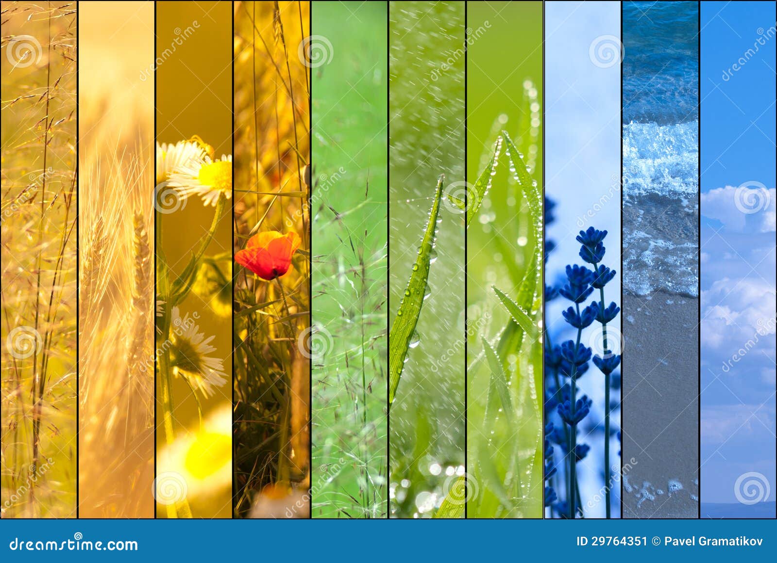 Summer Collage With Palm Trees And Ocean Waves Royalty-Free Stock Image ...