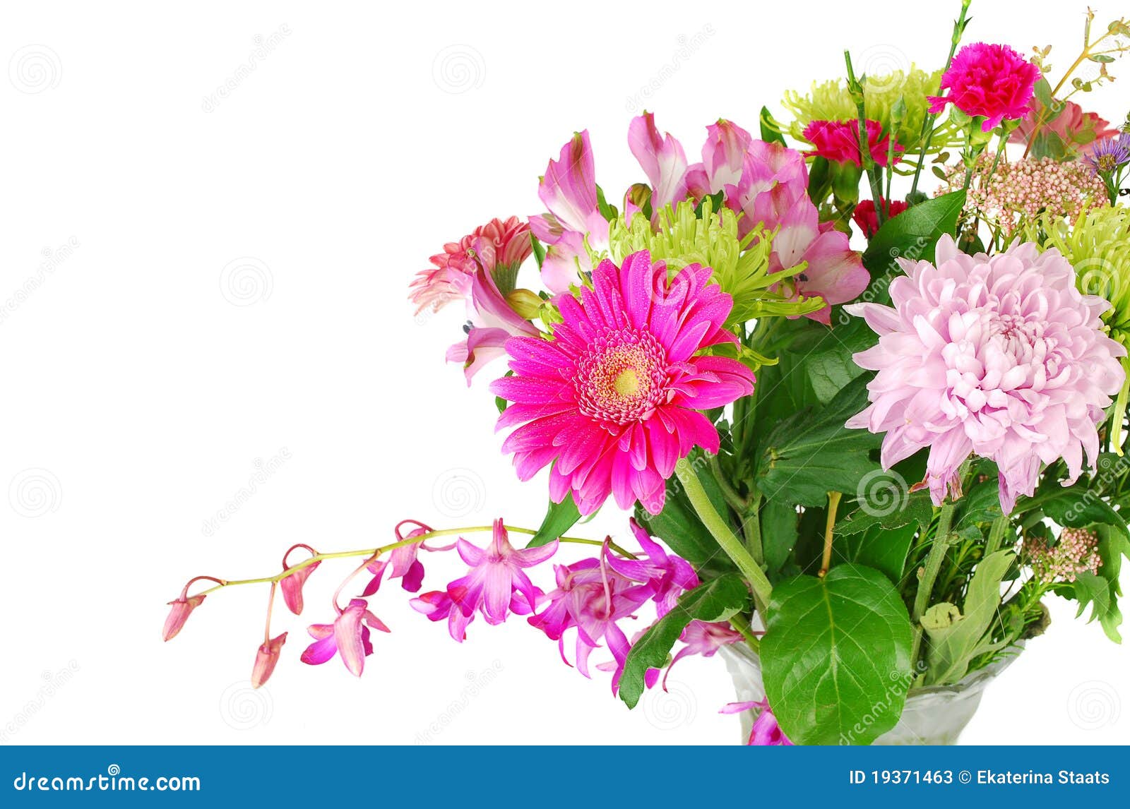 Colorful Summer Flowers Mix Isolated on the White. Stock Image - Image ...