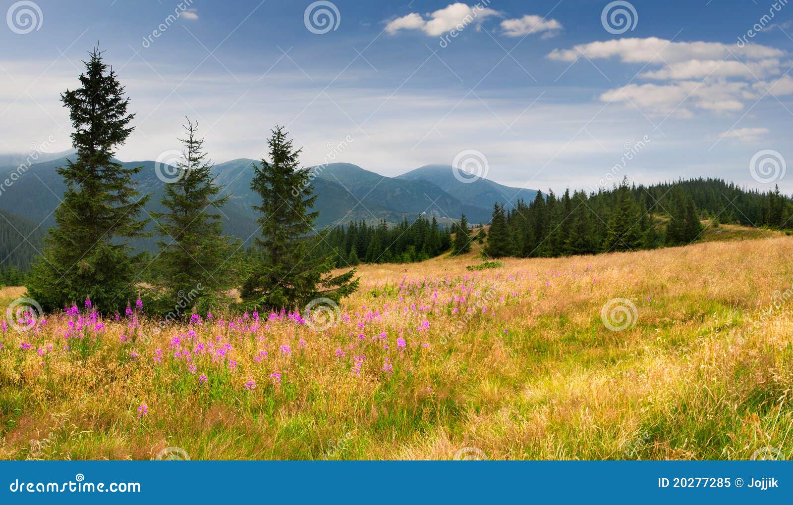 Colorful summer landscape stock image. Image of forest - 20277285