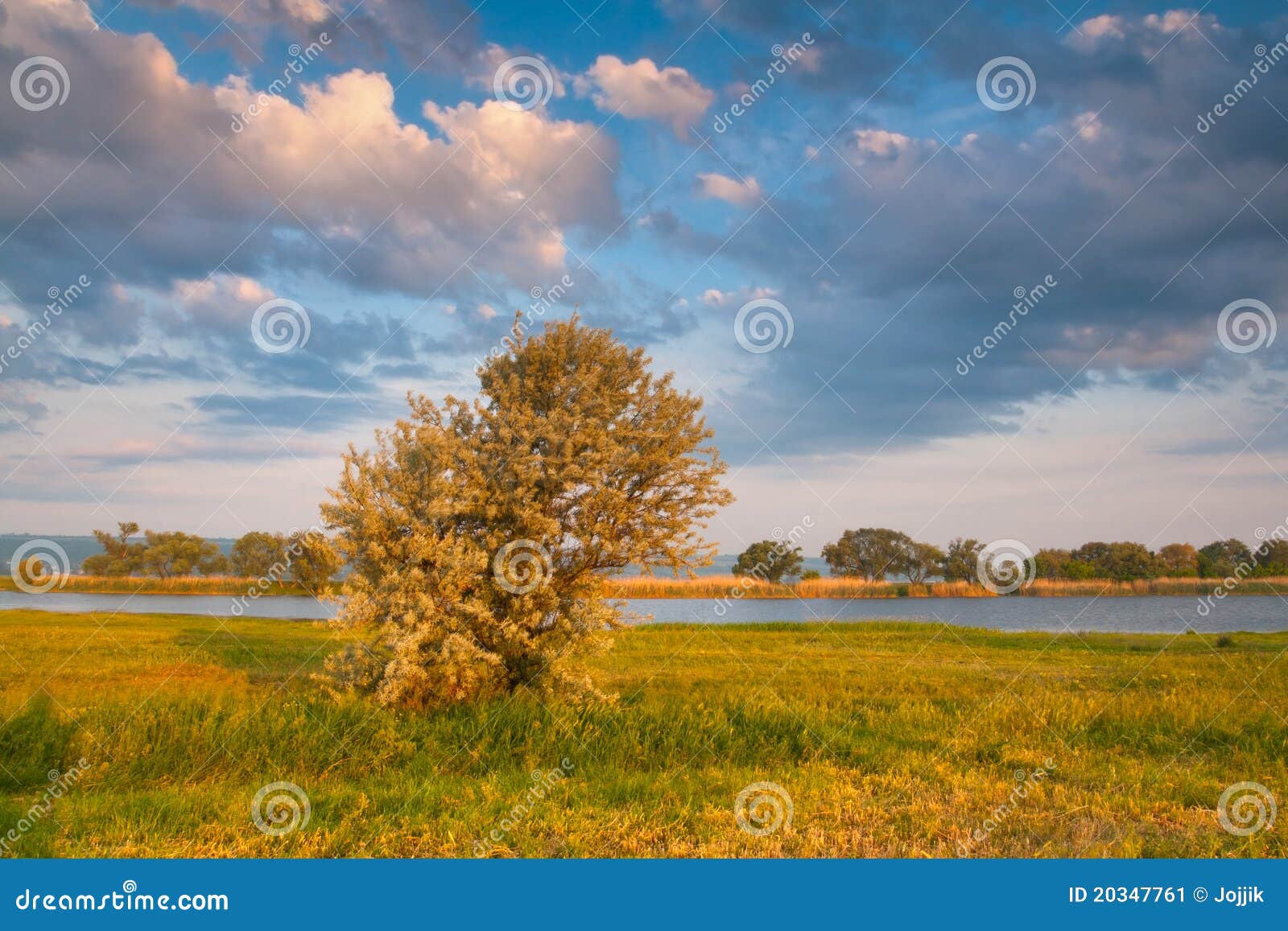 Colorful summer landscape stock image. Image of majestic - 20347761