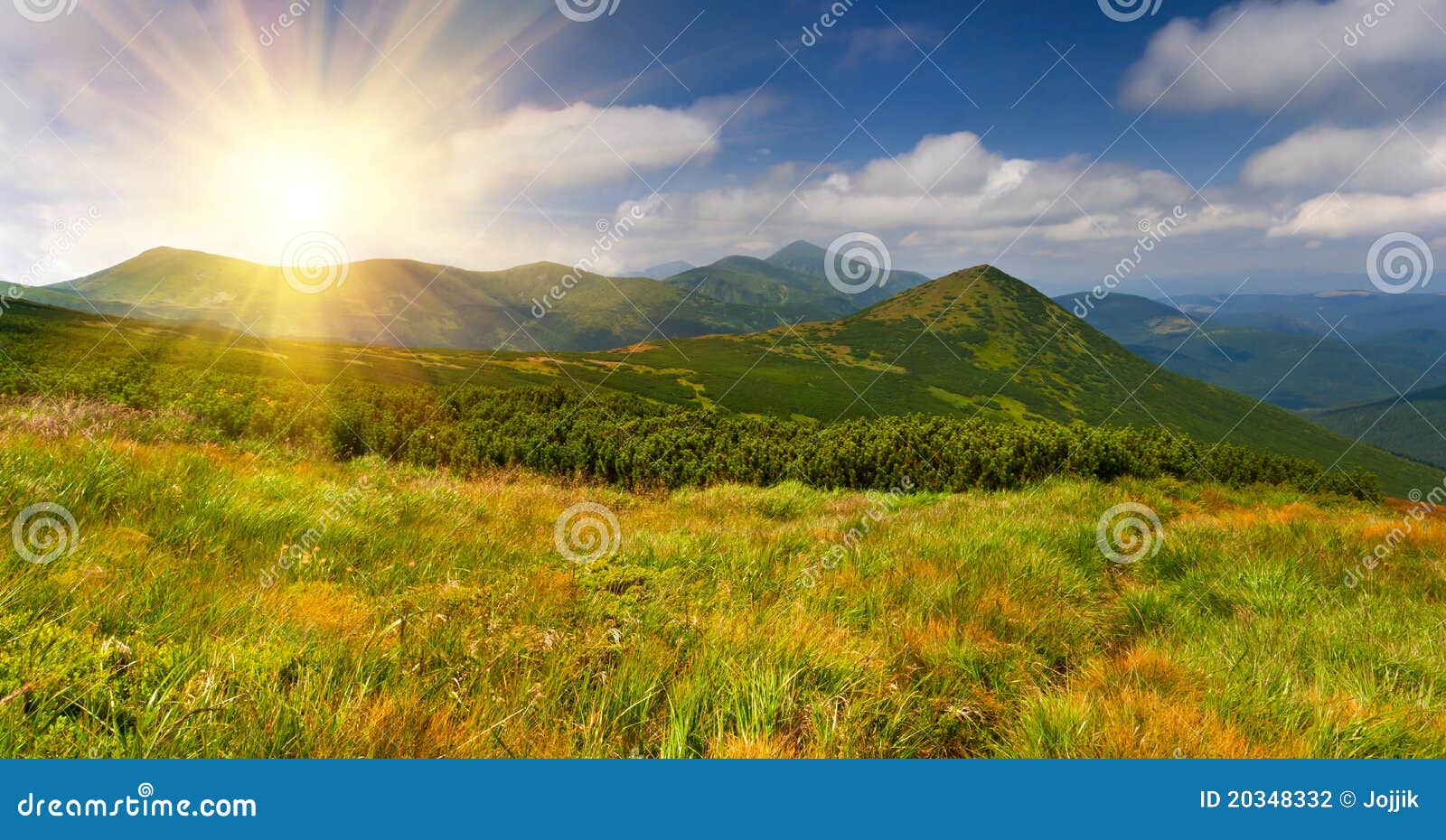 Colorful summer landscape stock photo. Image of season - 20348332