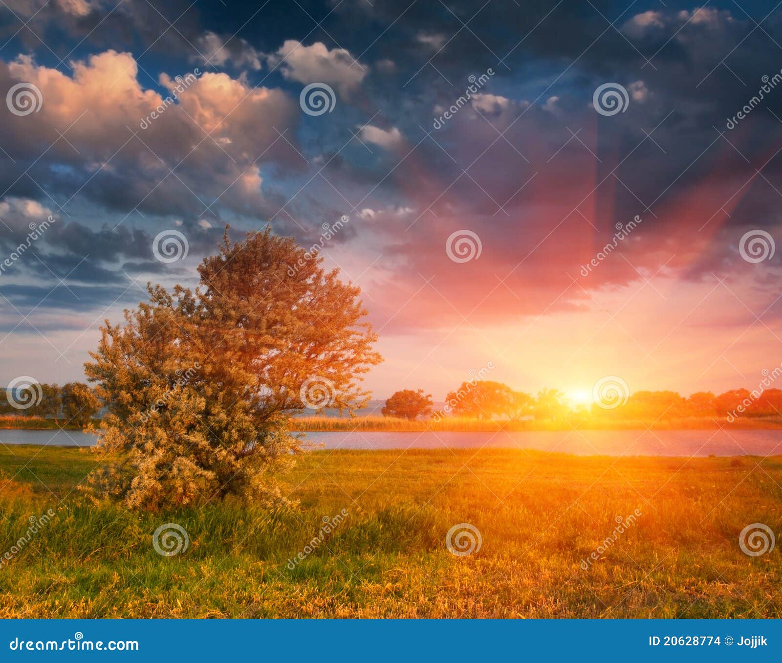 Colorful summer landscape stock photo. Image of colorful - 20628774