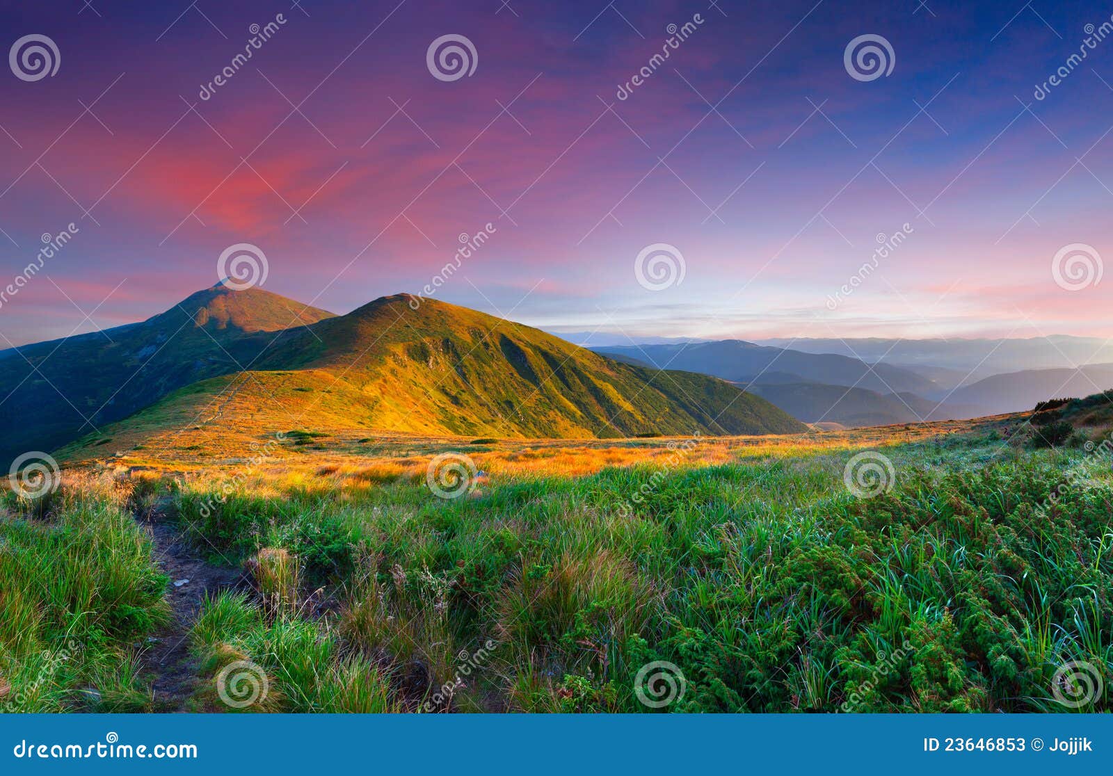 Colorful summer landscape stock image. Image of path - 23646853