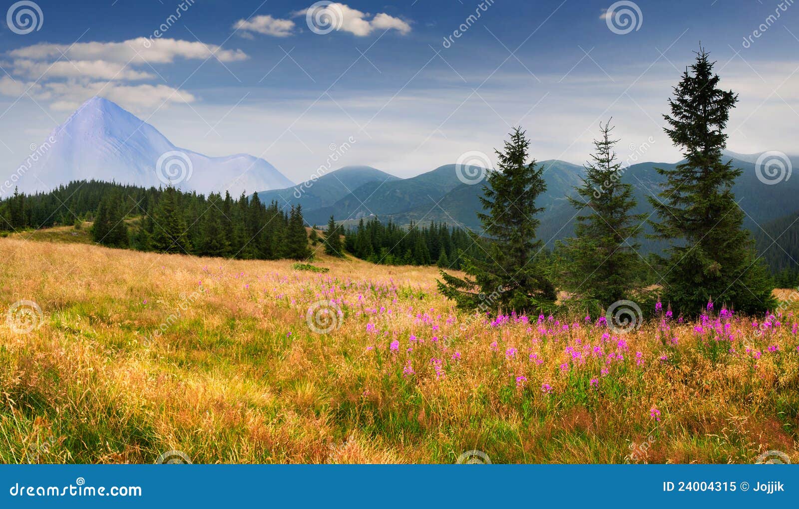 Colorful summer landscape stock image. Image of season - 24004315