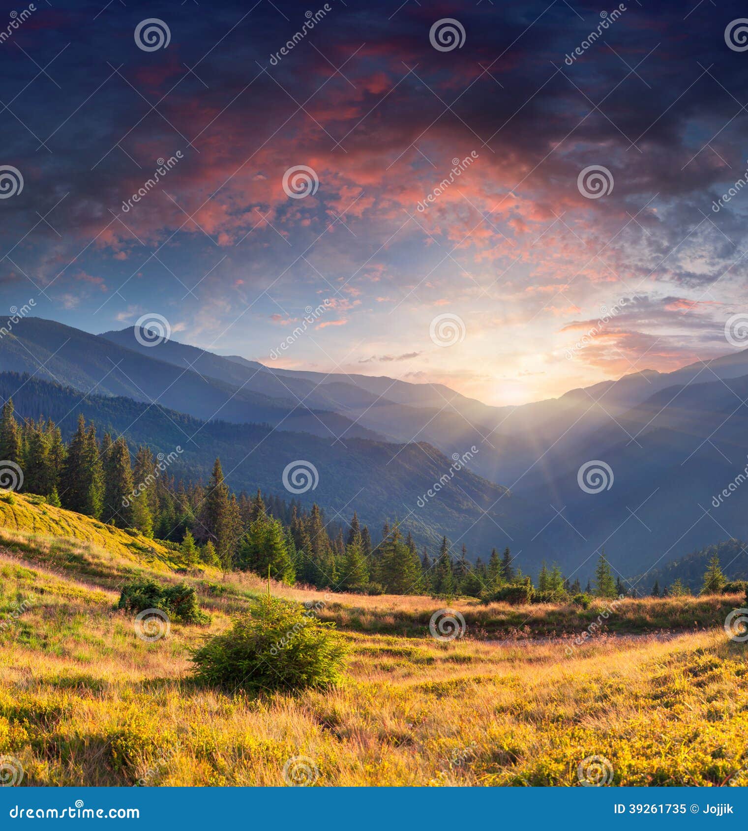 Colorful Summer Landscape in Mountains Stock Image - Image of meadow ...