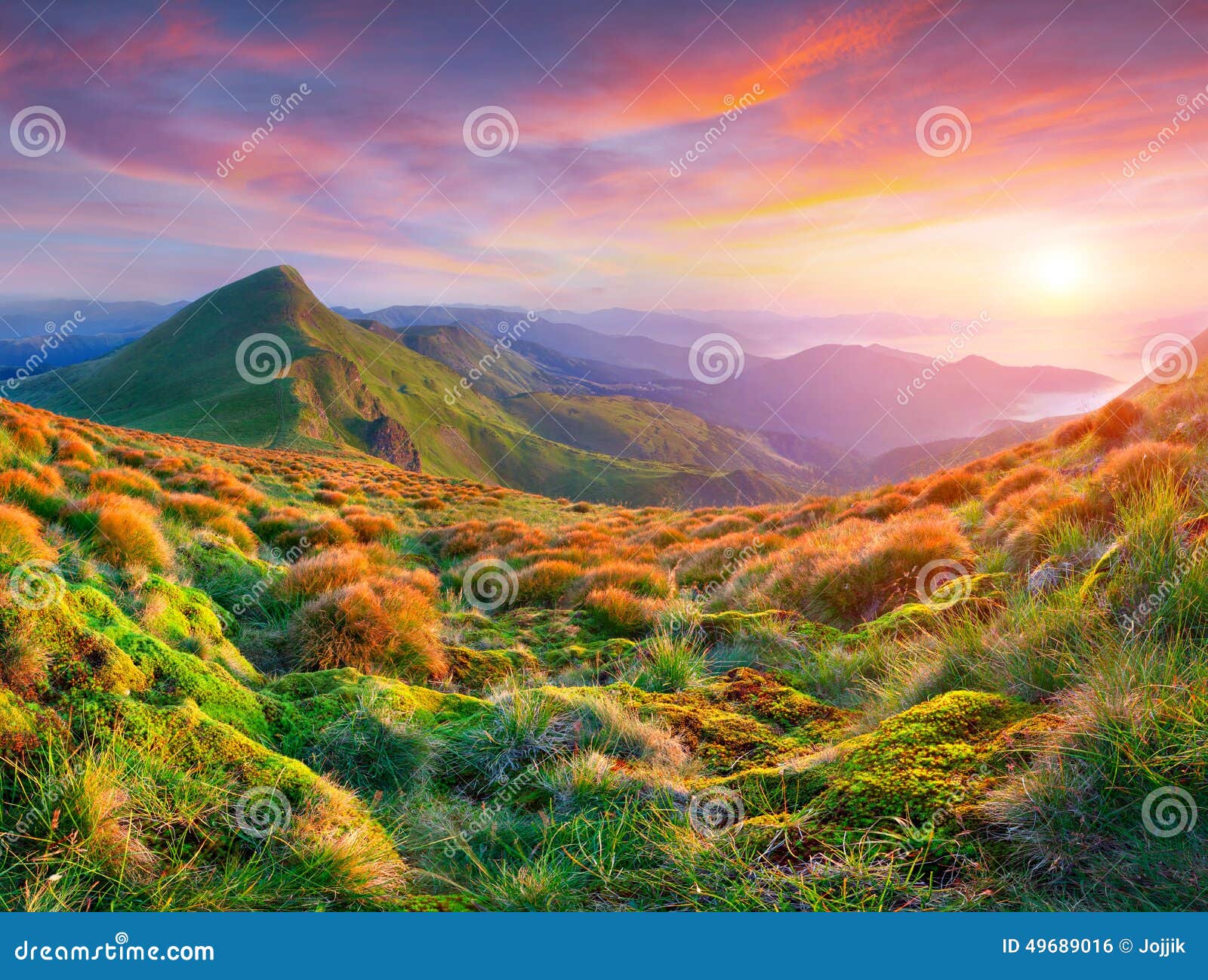 Colorful Summer Sunset in Mountains Stock Photo - Image of highland ...