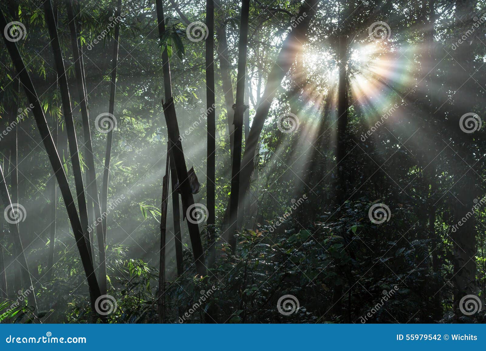 Colorful sunbeam stock photo. Image of nature, landscape - 55979542