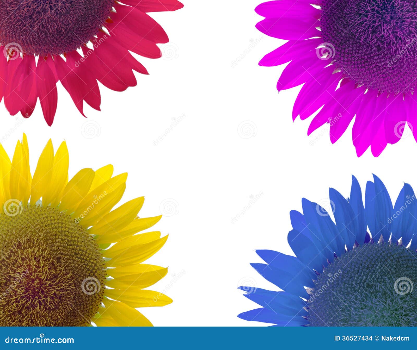 Colorful Sunflower Wind Spinner Decoration With Multi Color Background ...