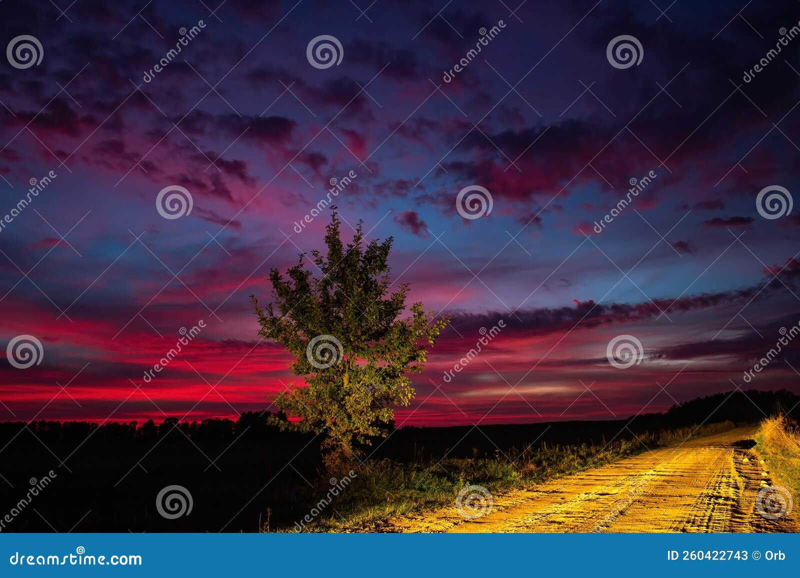 Colorful Sunset while Driving on the Road, with a Tree on the Roadside ...