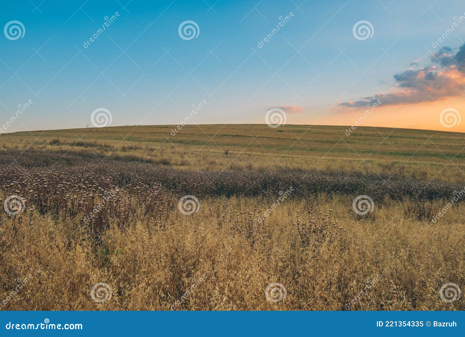 Colorful Sunset Over Farm Field Stock Image - Image of countryside ...