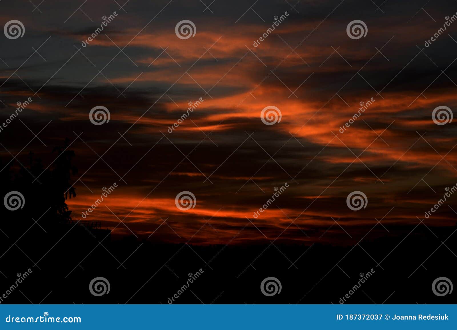 Colorful Sunset with Red Sky and Trees and Clouds Stock Image - Image ...