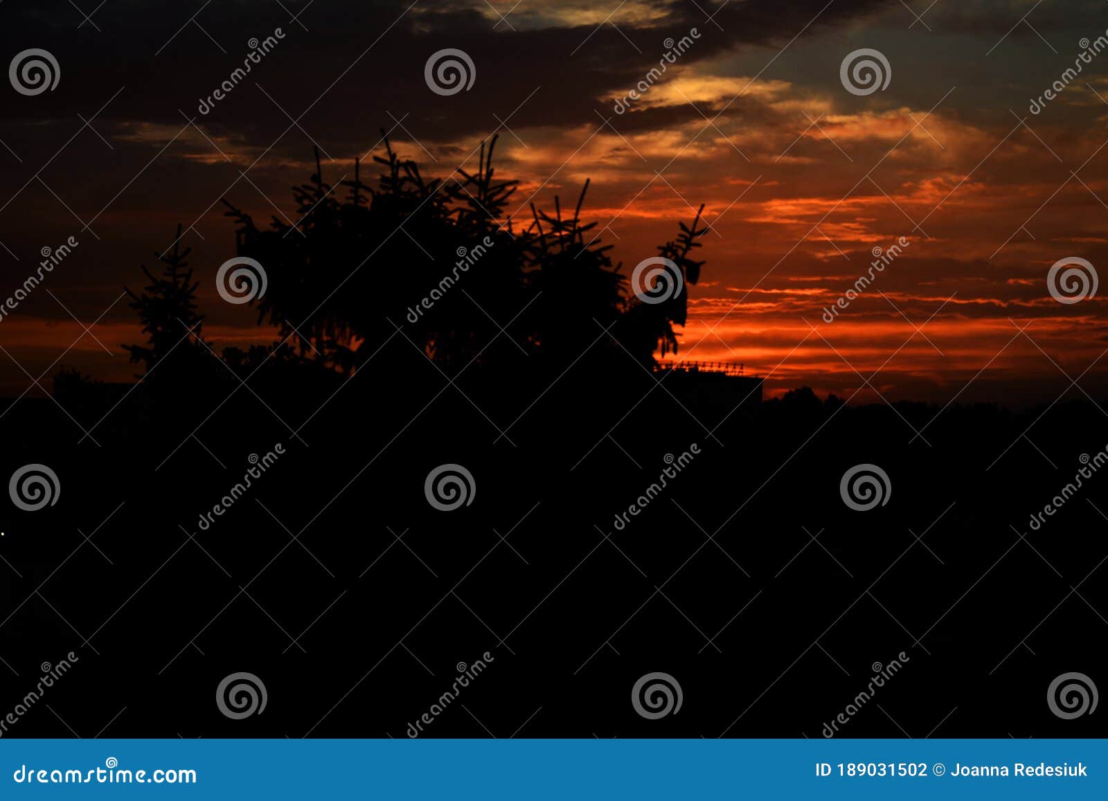 Colorful Sunset with Red Sky and Trees and Clouds Stock Photo - Image ...