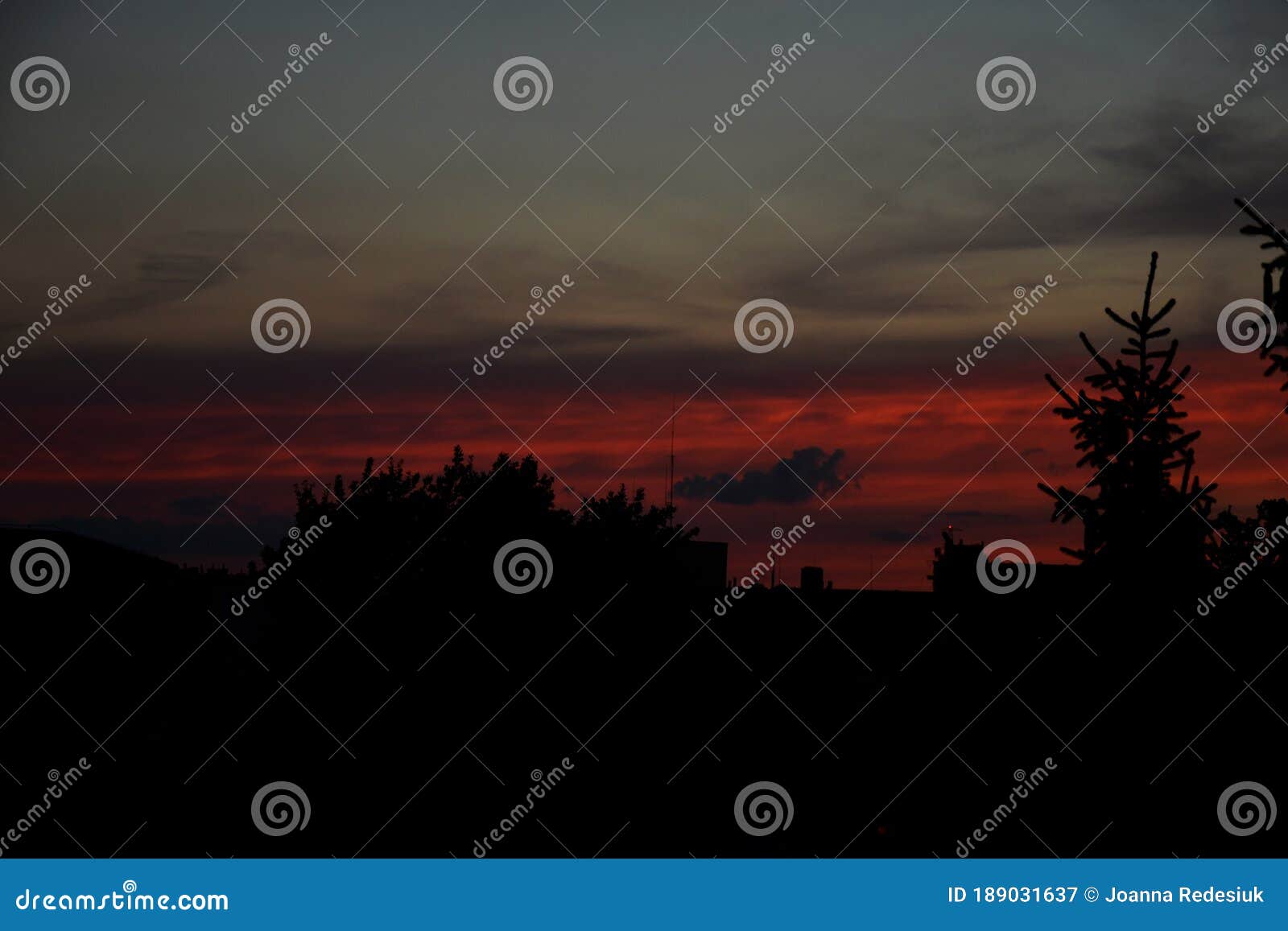 Colorful Sunset with Red Sky and Trees and Clouds Stock Image - Image ...