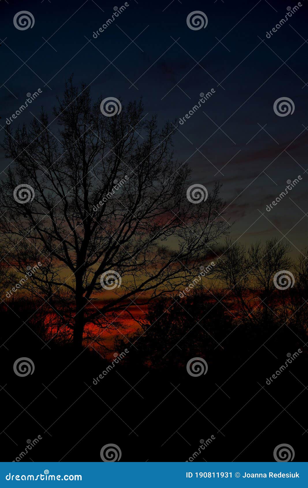 Colorful Sunset with Red Sky and Trees and Clouds Stock Image - Image ...
