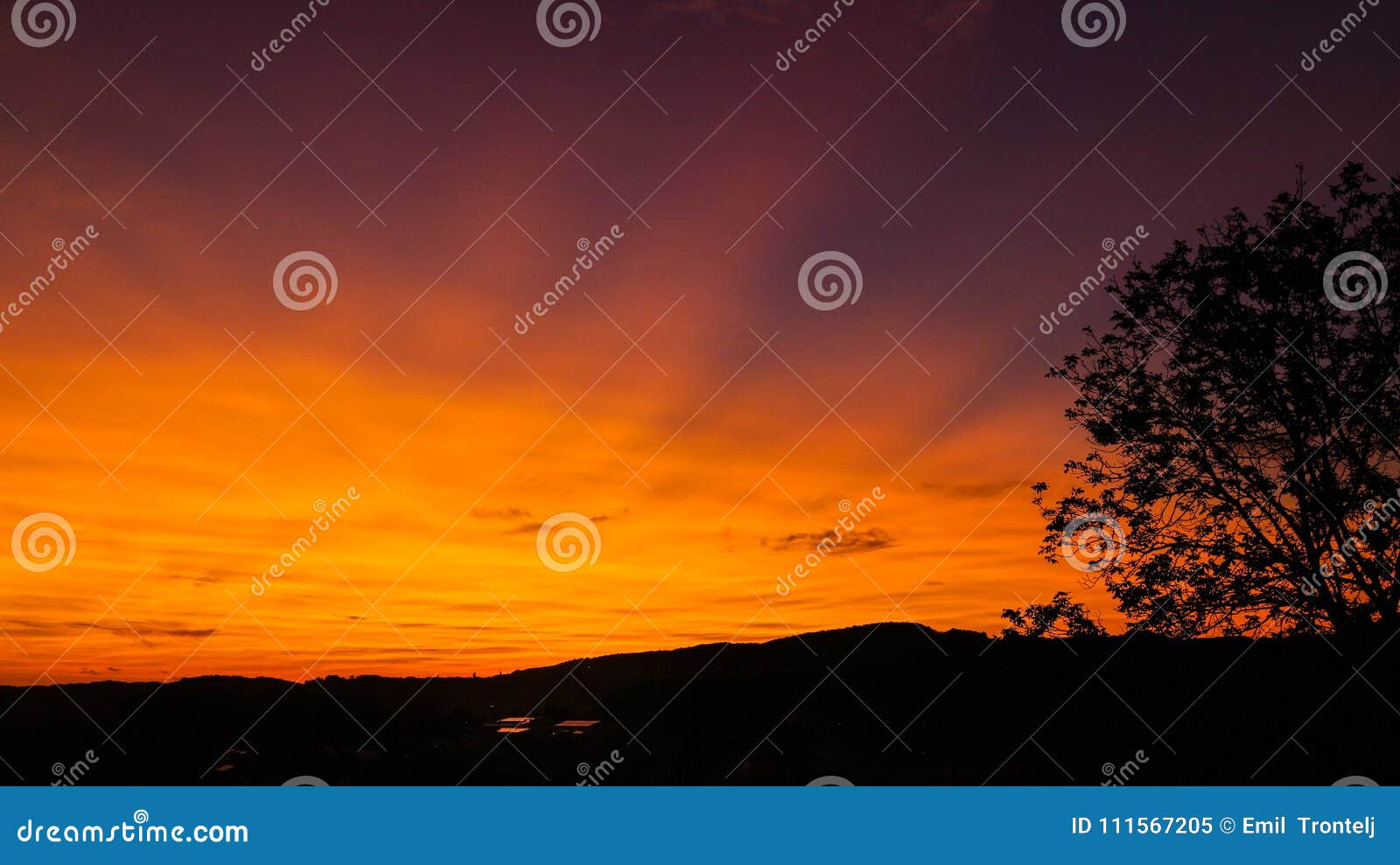 Colorful Sunset with a Tree beside Stock Image - Image of colours ...