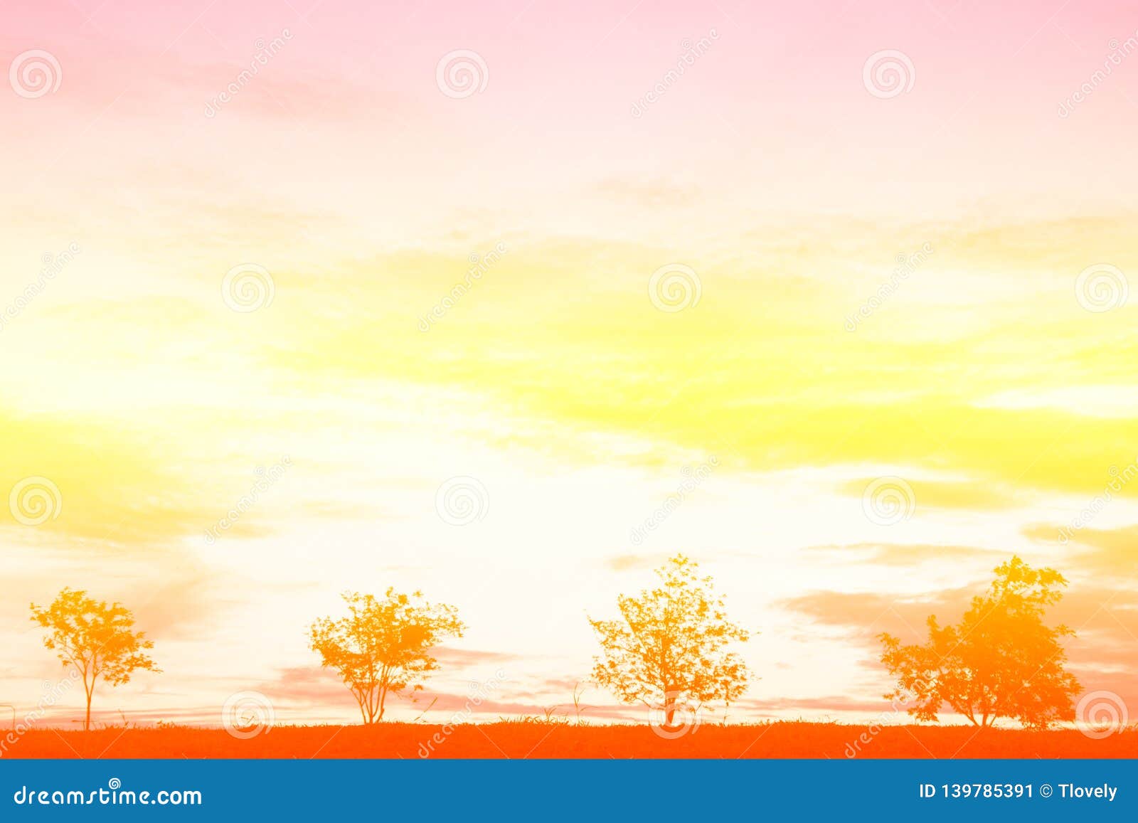 Colorful Sunset with Tree Silhouette Stock Image - Image of beautiful ...