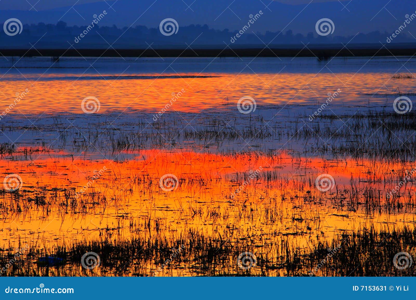 Colorful swamp stock image. Image of colorful, postcards - 7153631