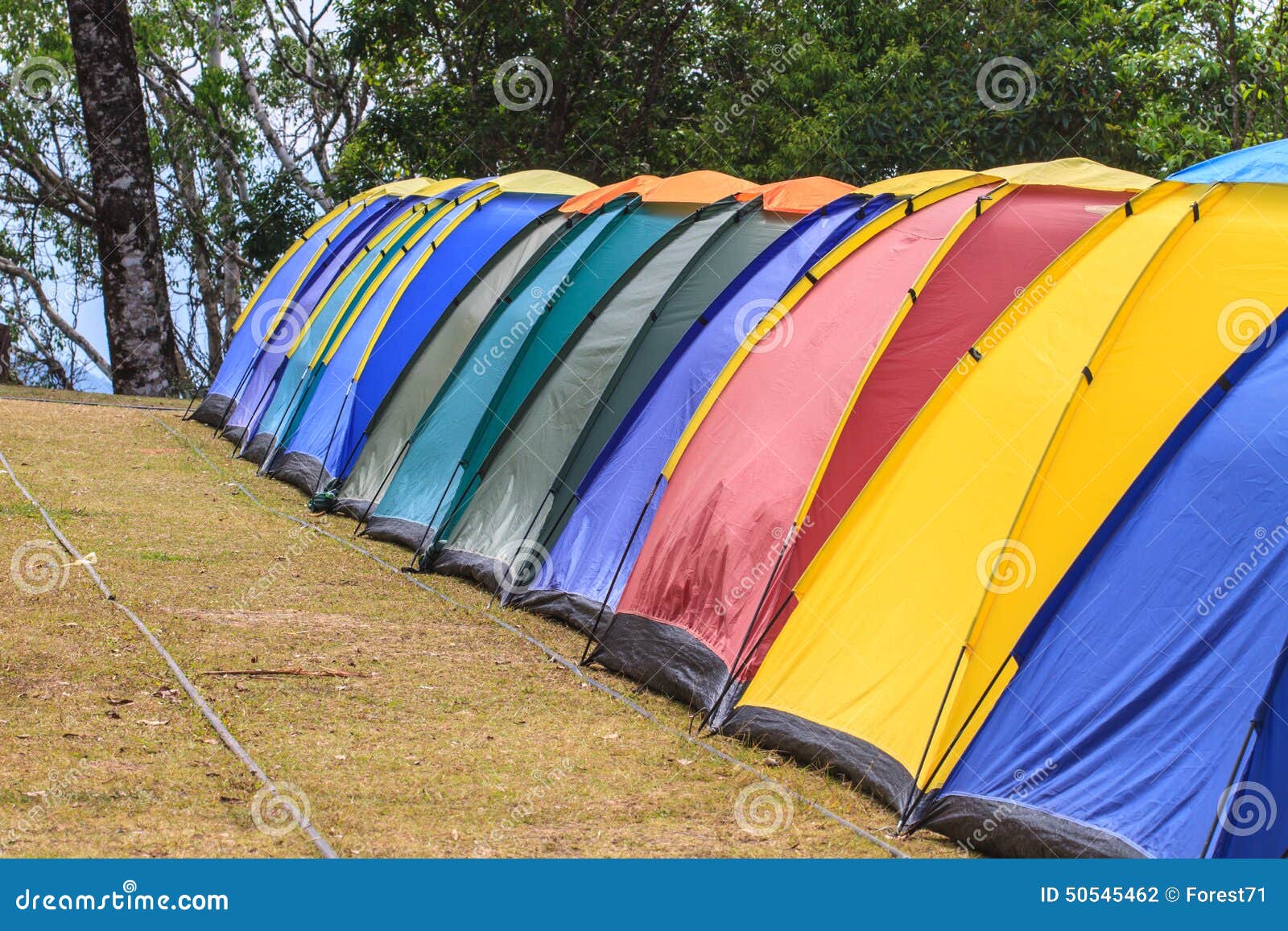 Colorful Tent on the Camping Ground Stock Photo - Image of forest ...