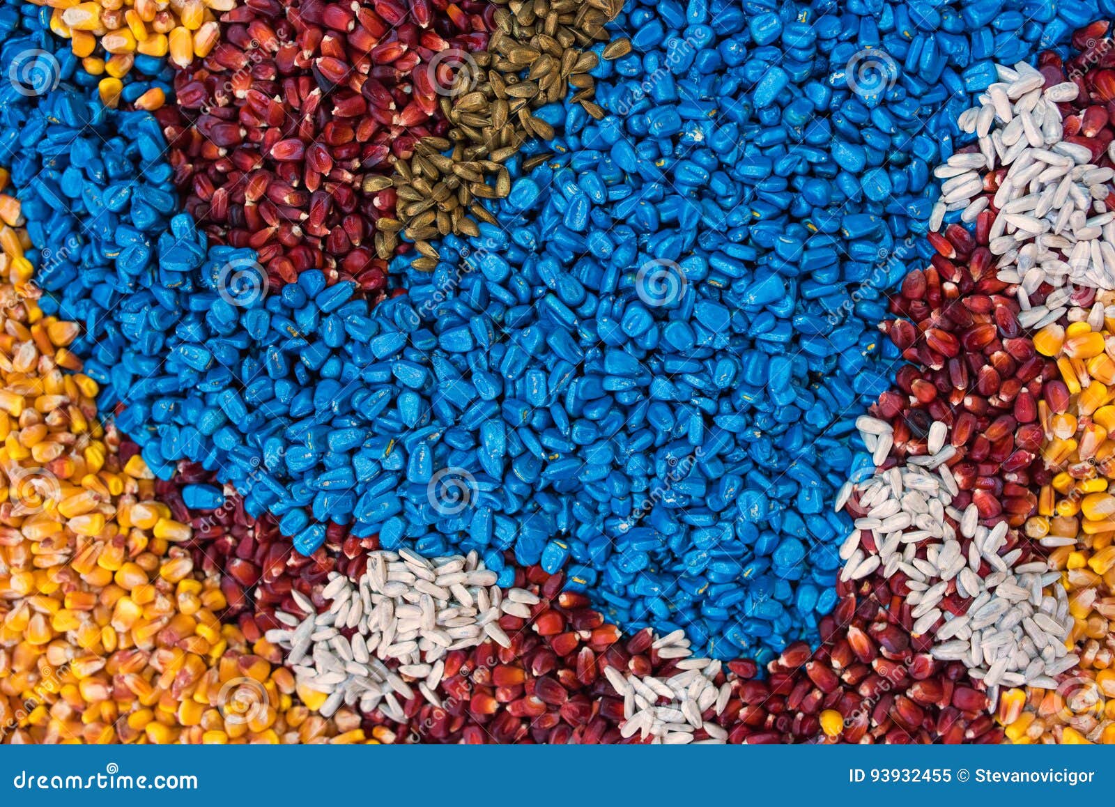 Colorful Texture of Chemically Treated Corn Maize Crop Seed Stock Image ...